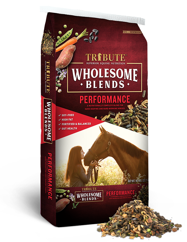 Tribute Wholesome Blends™ Performance - Mansfield Depot, CT - G.M ...