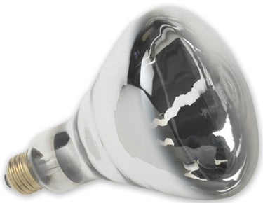 250BR40/1CLR 250W HEAT LAMP - Mansfield Depot, CT - G.M. Thompson & Sons