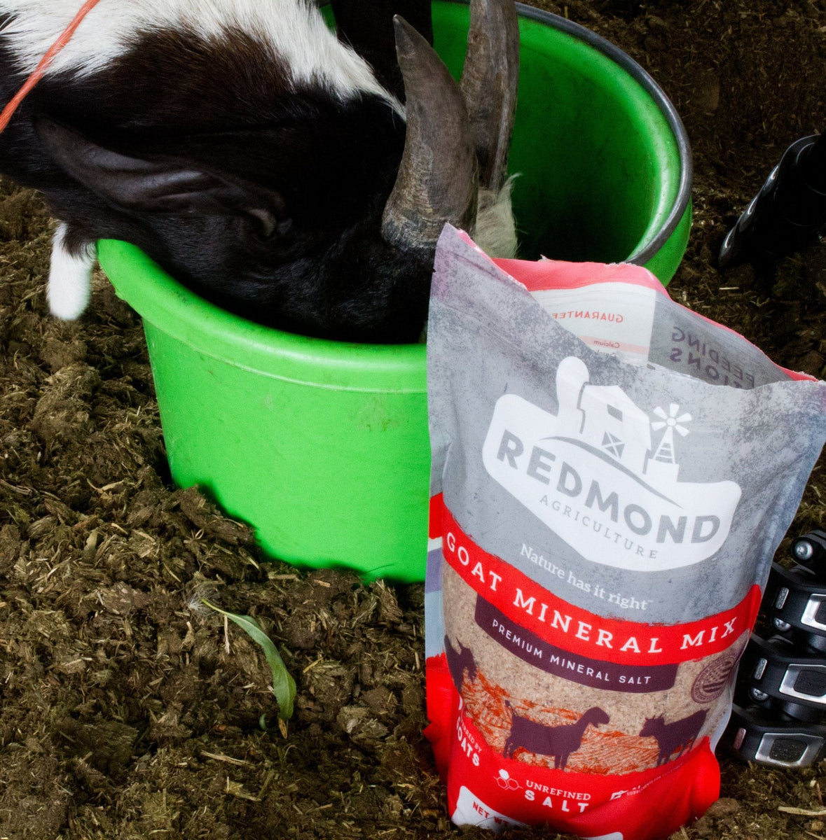 Redmond Goat Mineral - Mansfield Depot, CT - G.M. Thompson & Sons