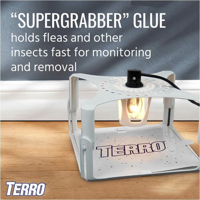 TERRO® Flea Trap Refill Glue Boards - Mansfield Depot, CT - G.M ...